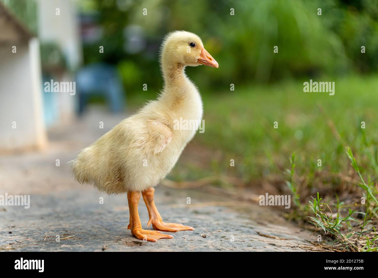 Stand side view hi-res stock photography and images - Alamy