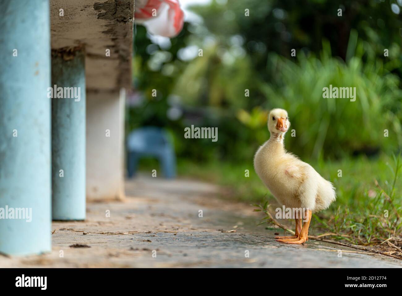 Stand side view hi-res stock photography and images - Alamy
