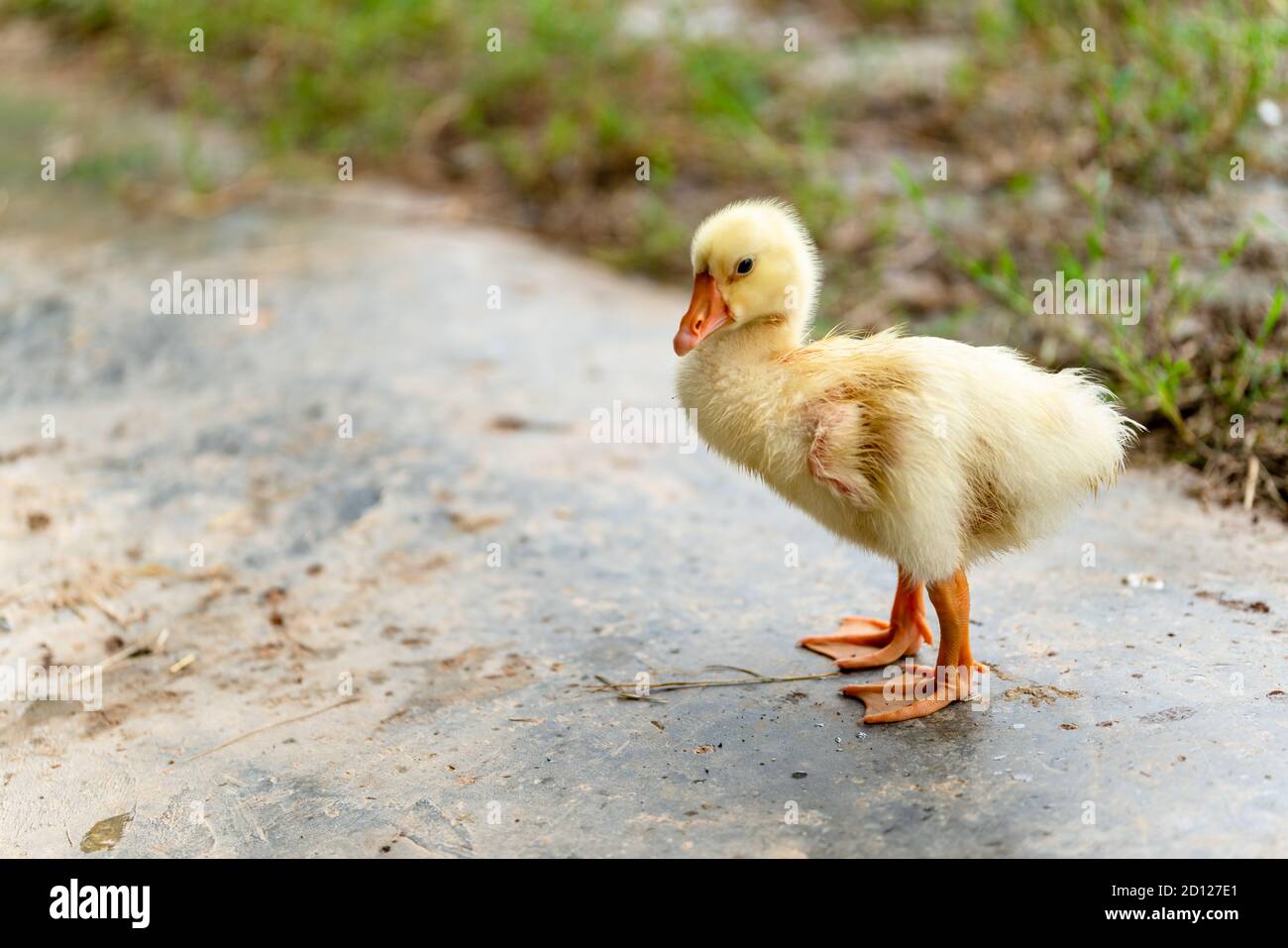 Stand side view hi-res stock photography and images - Alamy