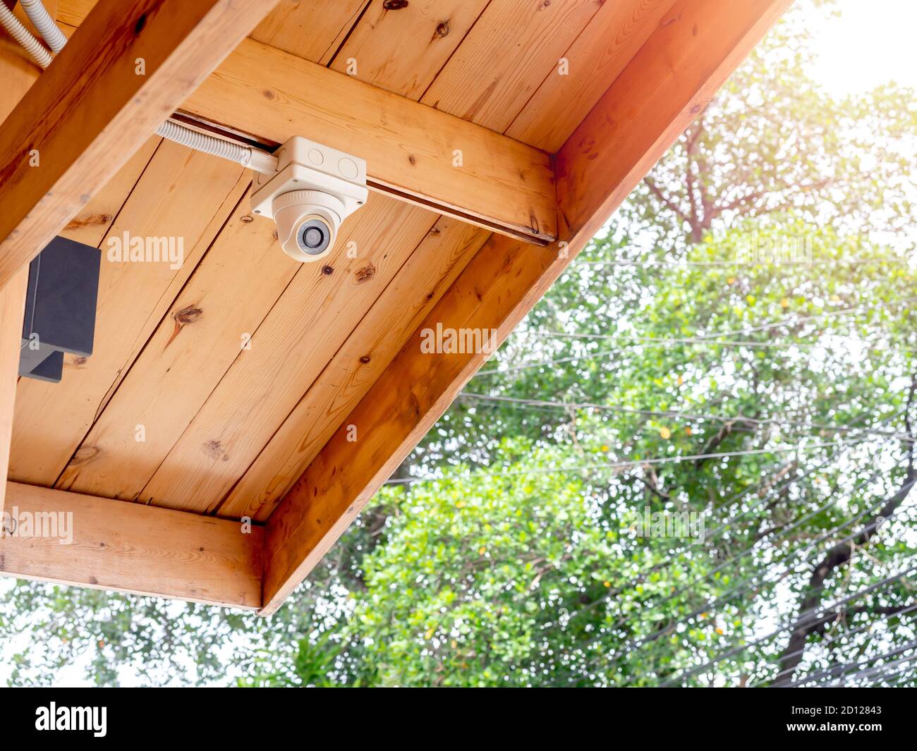 Cctv on the tree hi-res stock photography and images - Alamy