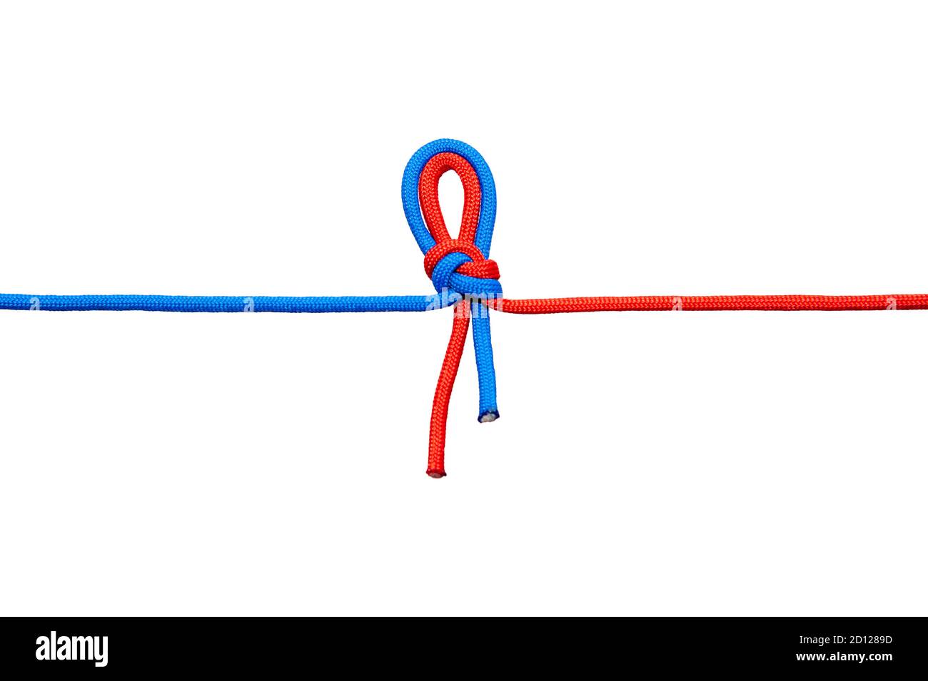 Two red and blue cords are connected . Knot on a cord isolated on a ...