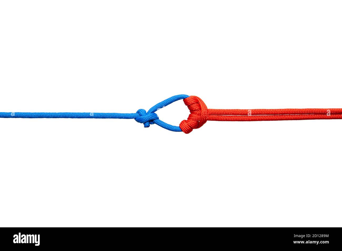 Two red and blue cords are connected . Knot on a cord isolated on a ...