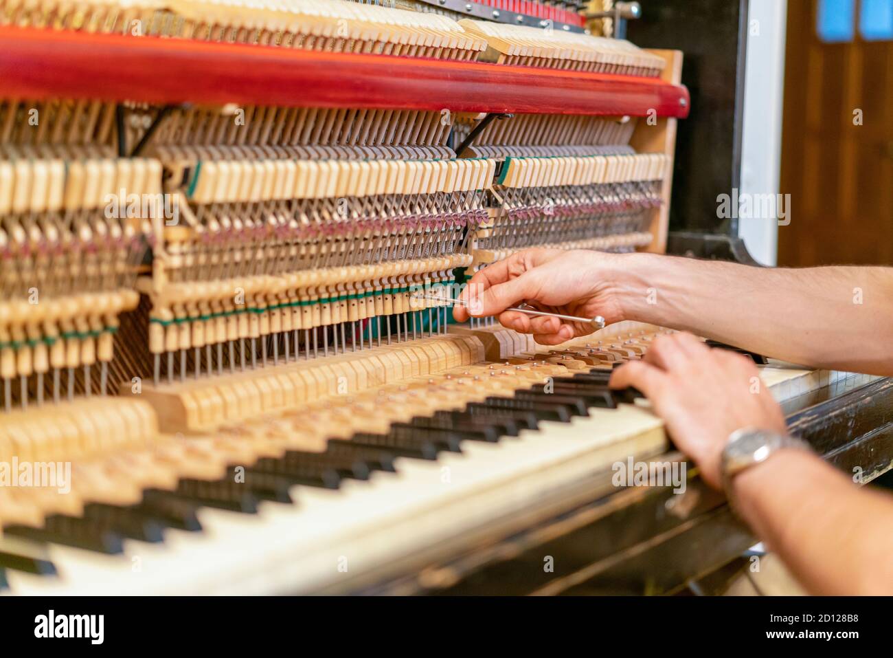 Piano tuning process. closeup of hand and tools of tuner working on ...