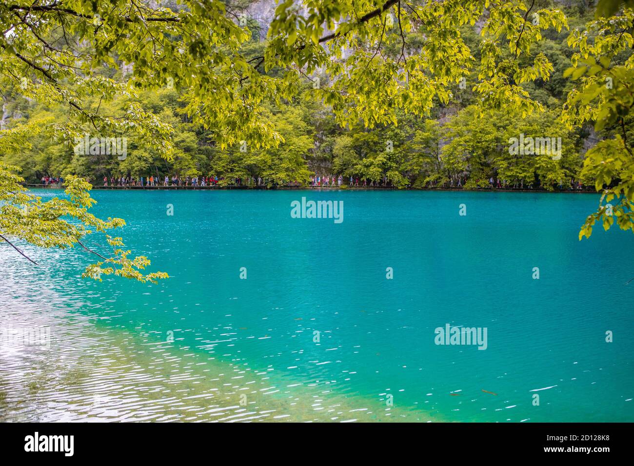 The turquoise color lake in Plitvice Lakes National Park, Croatia Stock ...