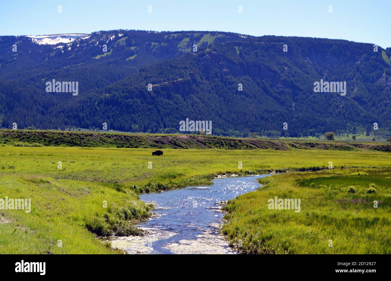 Wyoming - Lamar River Valley in Yellowstone Stock Photo - Alamy