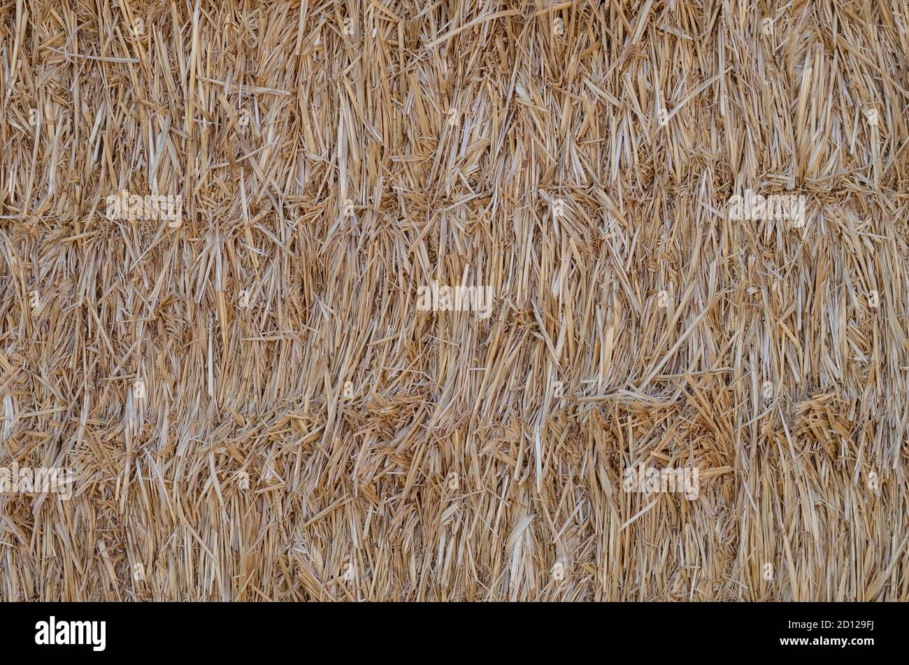 The texture of dry straw in rectangular bales. Close-up of rectangular ...