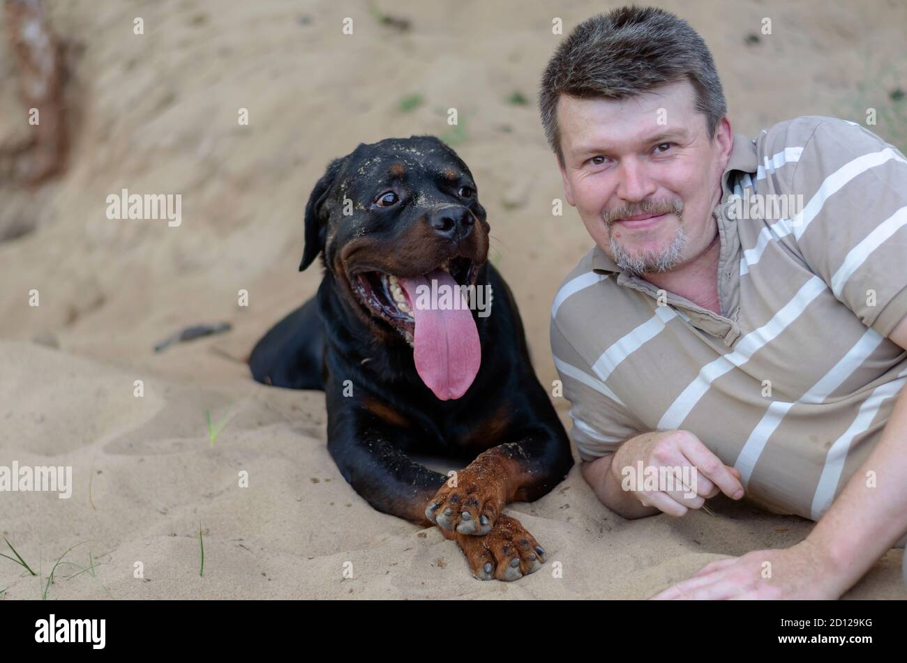 Portrait of an adult man and a rottweiler lying on the sand while ...