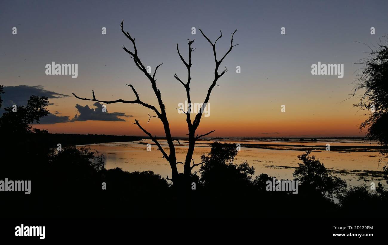 Botswana river hi-res stock photography and images - Alamy