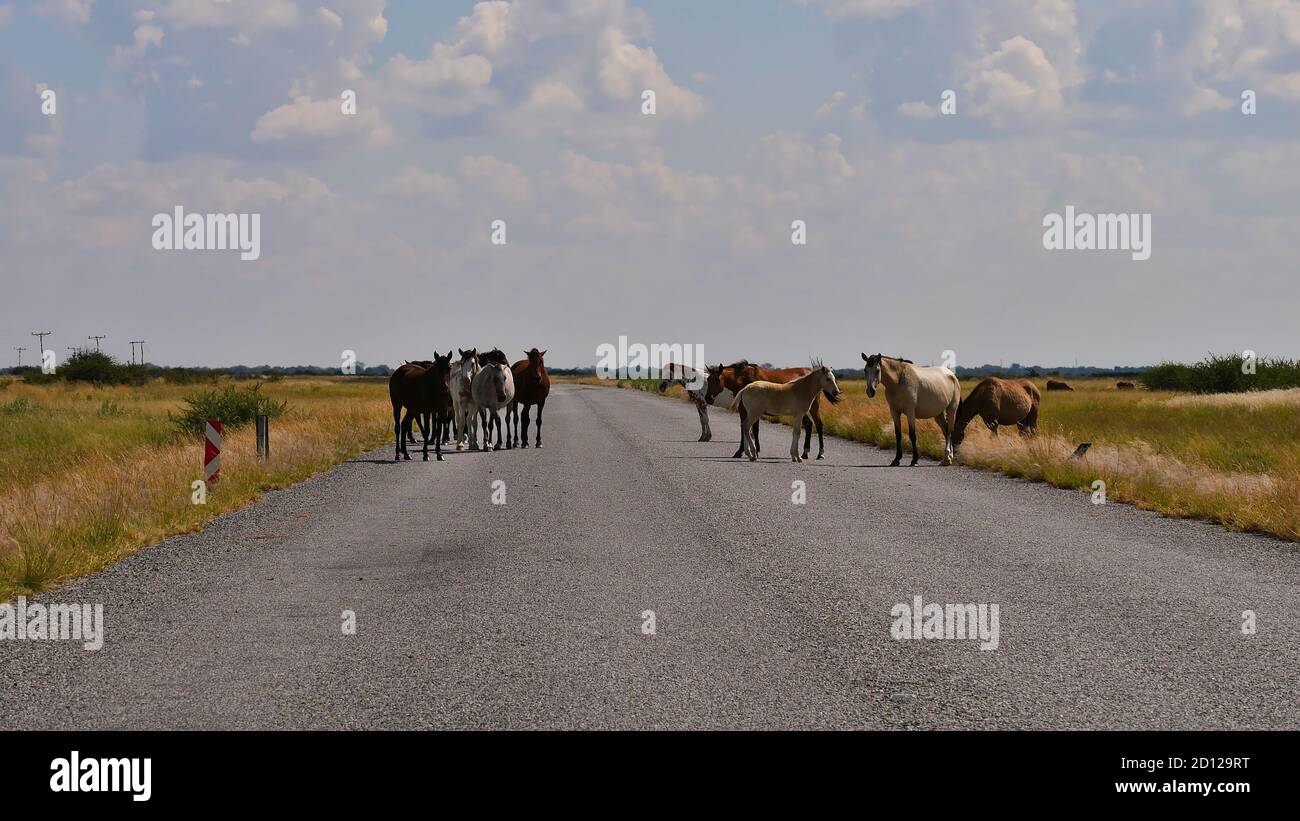 Blocking paved hi-res stock photography and images - Alamy