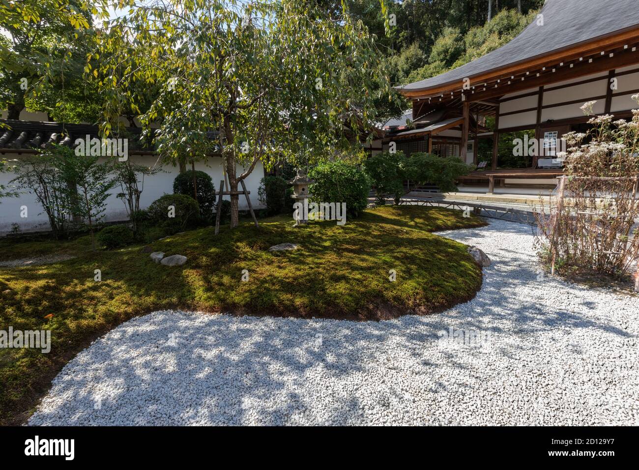 Nison in garden hi-res stock photography and images - Alamy