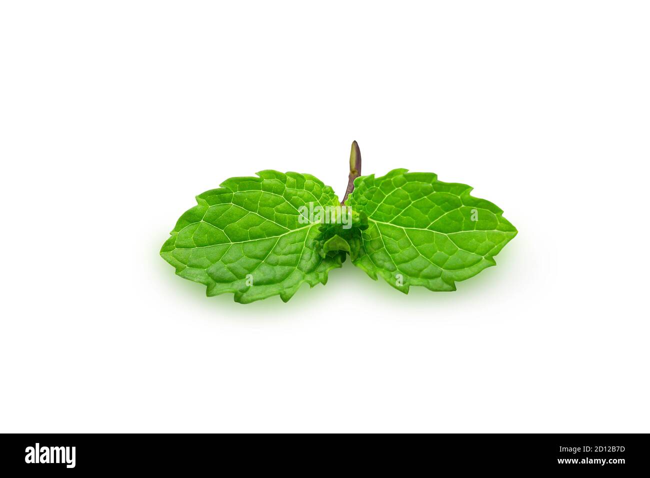 Good smell Cut Out Stock Images & Pictures - Alamy