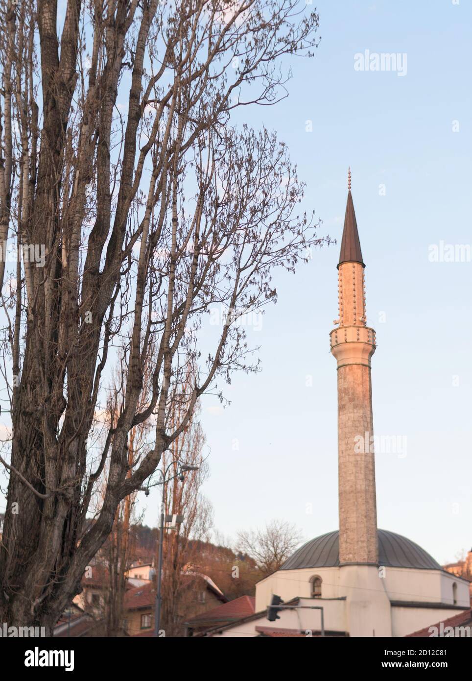 Grand mosue hi-res stock photography and images - Alamy