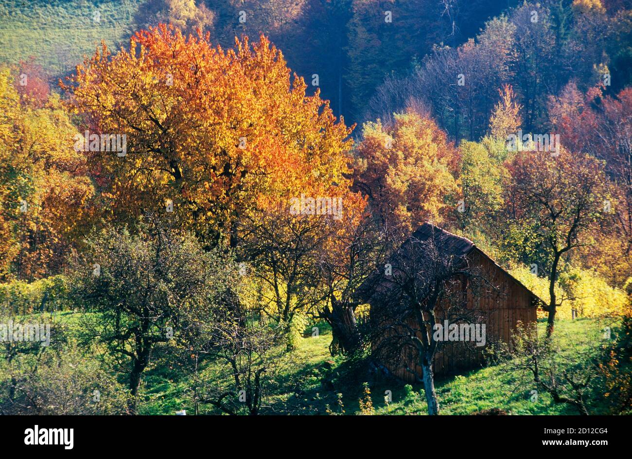 Klaus And Klaus High Resolution Stock Photography and Images - Alamy