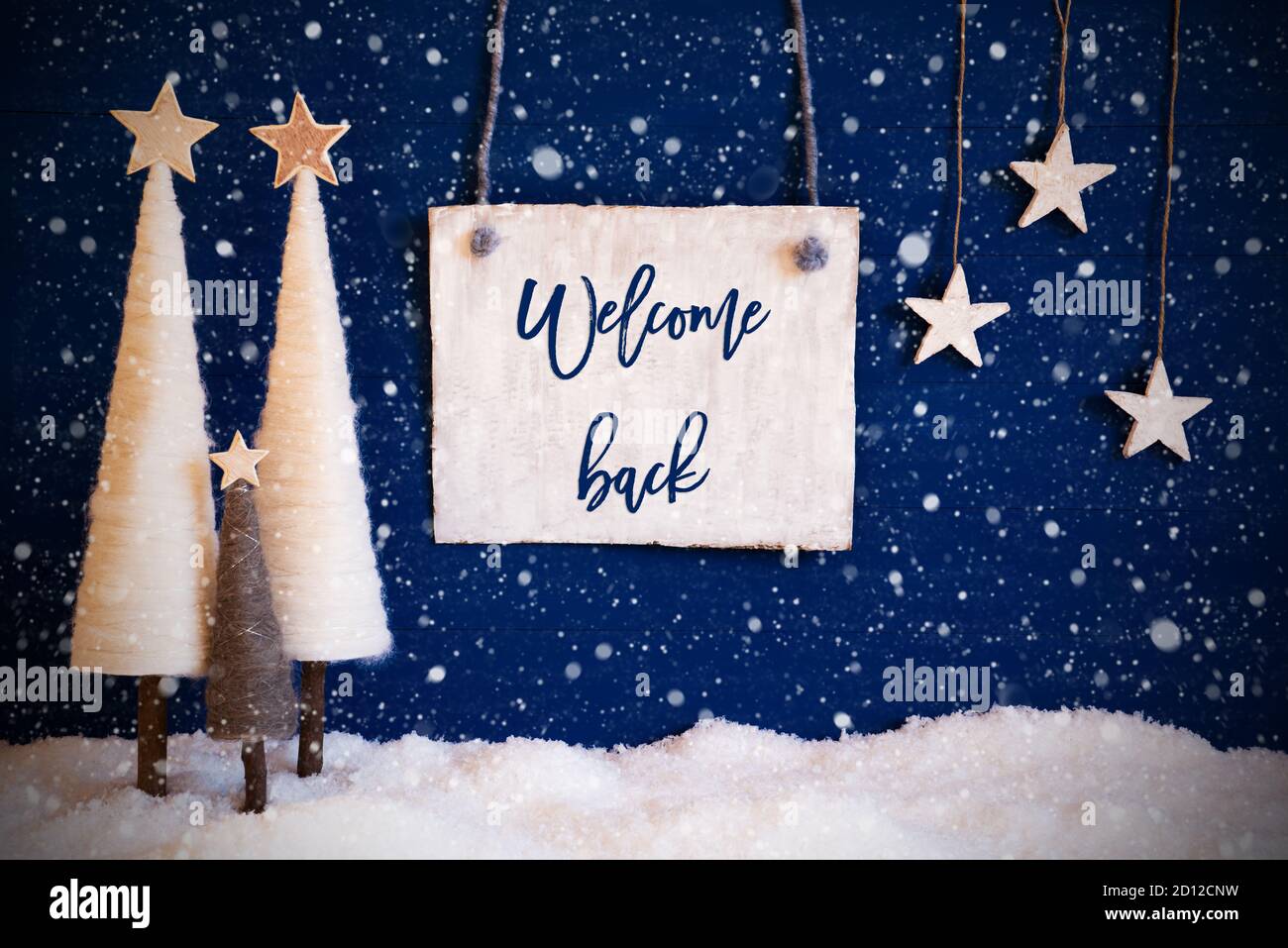 Snow Flakes Welcome Back