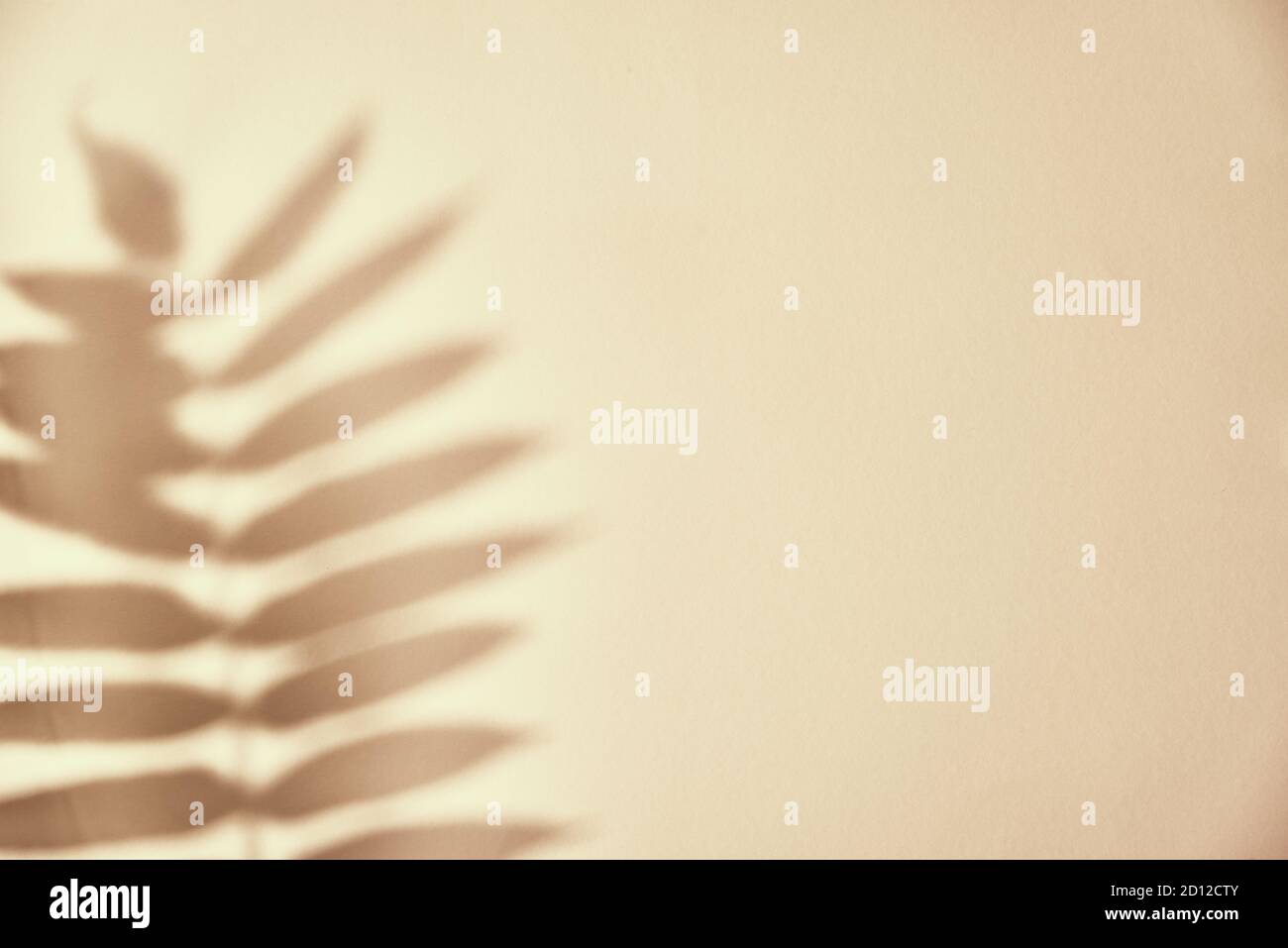 Leaf shadow on pastel background. Creative abstract background. Nature ...