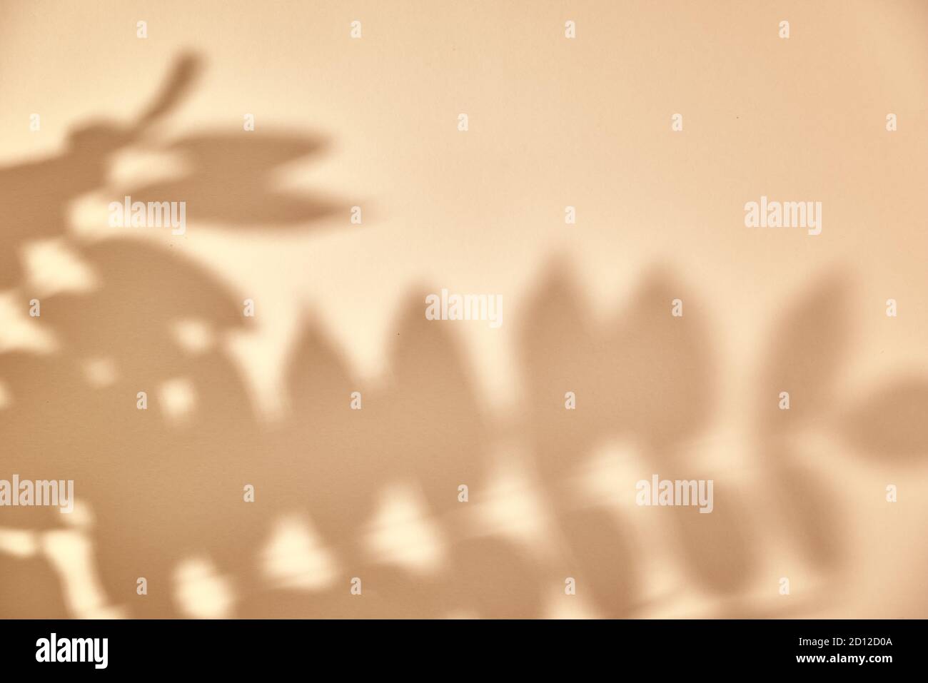 Leaf shadow on pastel background. Creative abstract background. Nature ...