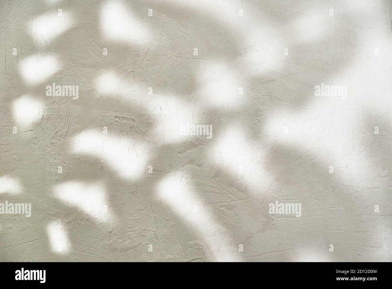 Leaf shadow on white background. Creative abstract background. Nature ...