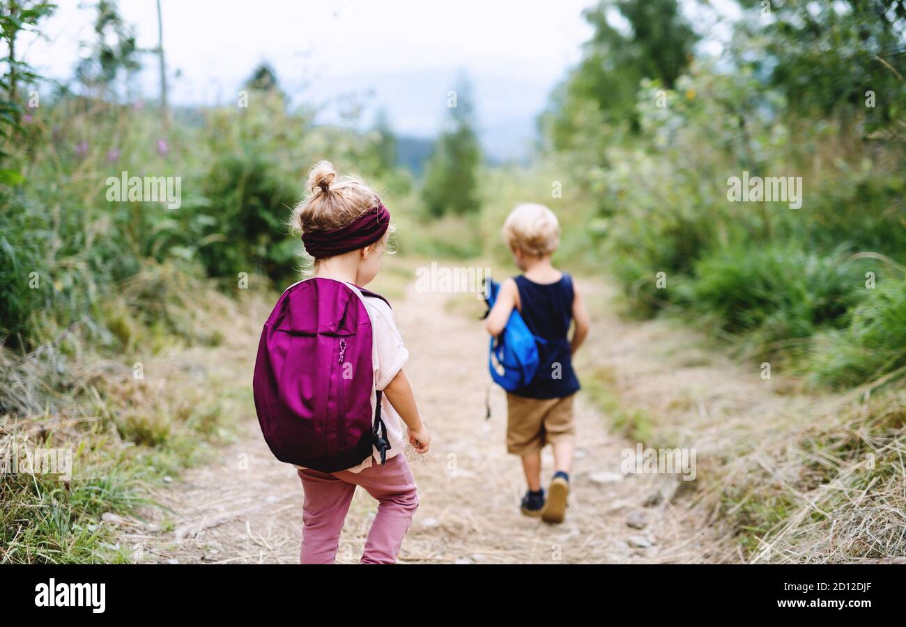 Rear view of small children hiking outdoors in summer nature Stock ...