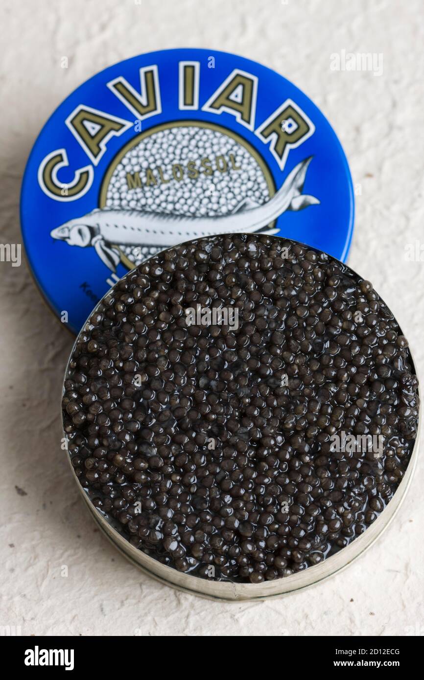 Caviar, Sturgeon's Eggs Stock Photo - Alamy