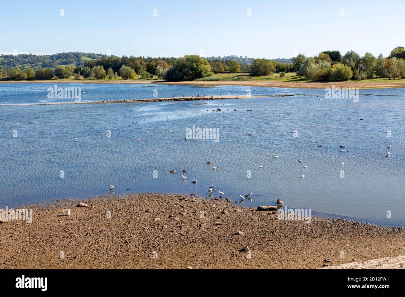 Low water level Bristol Water, Chew Valley reservoir lake, Herons Green ...