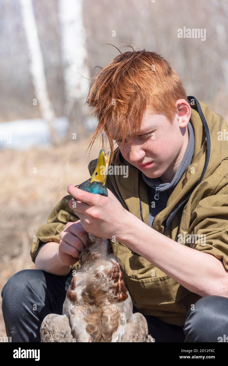 A teenager plucks a duck after hunting in a forest clearing Stock Photo ...