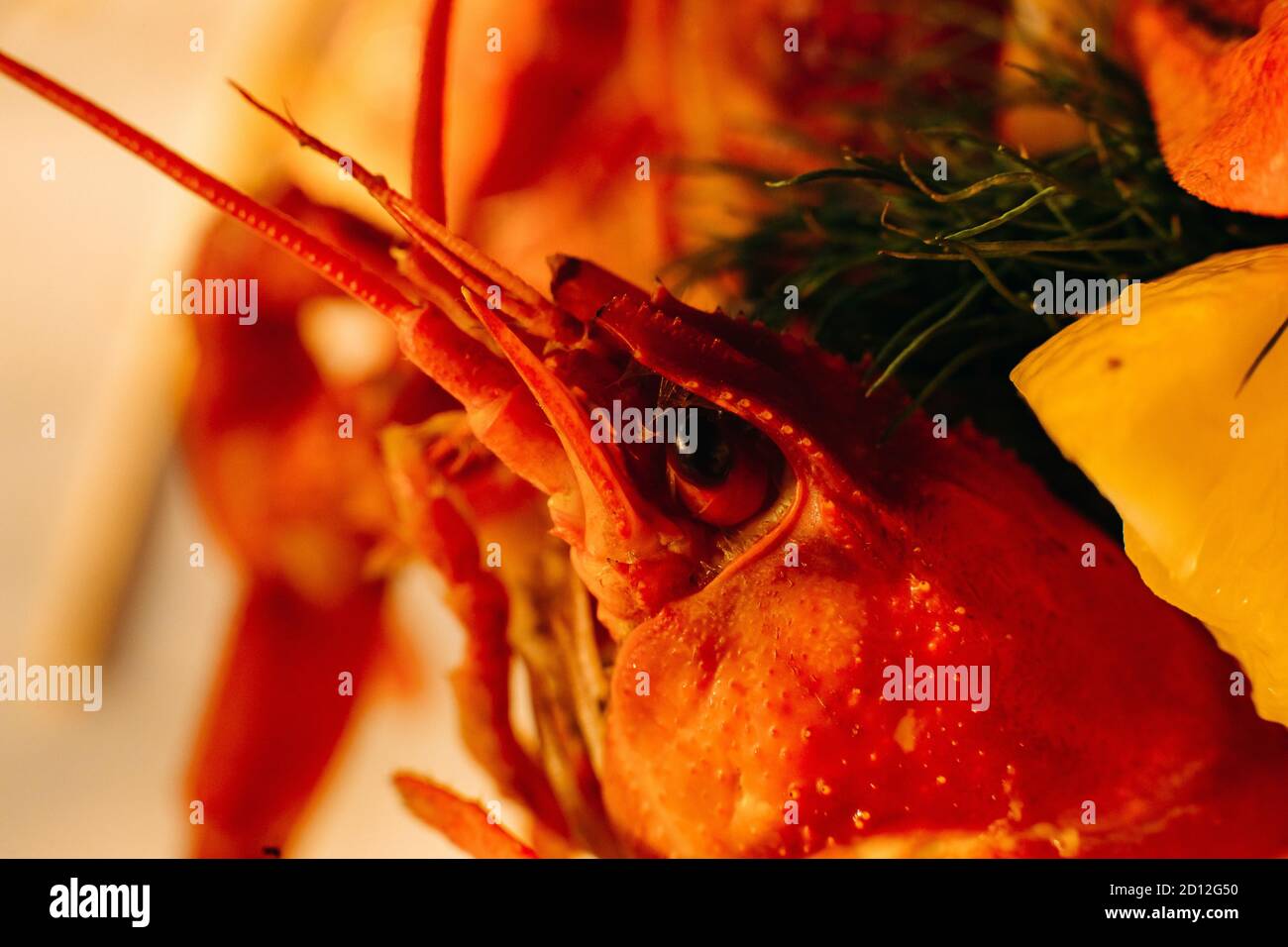 Large steamed cancer of red-orange color in sunlight Stock Photo - Alamy