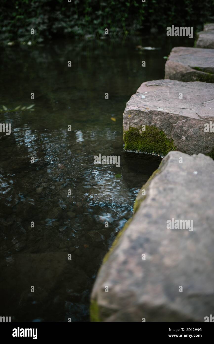 Stepping on stones and closeup hi-res stock photography and images - Alamy