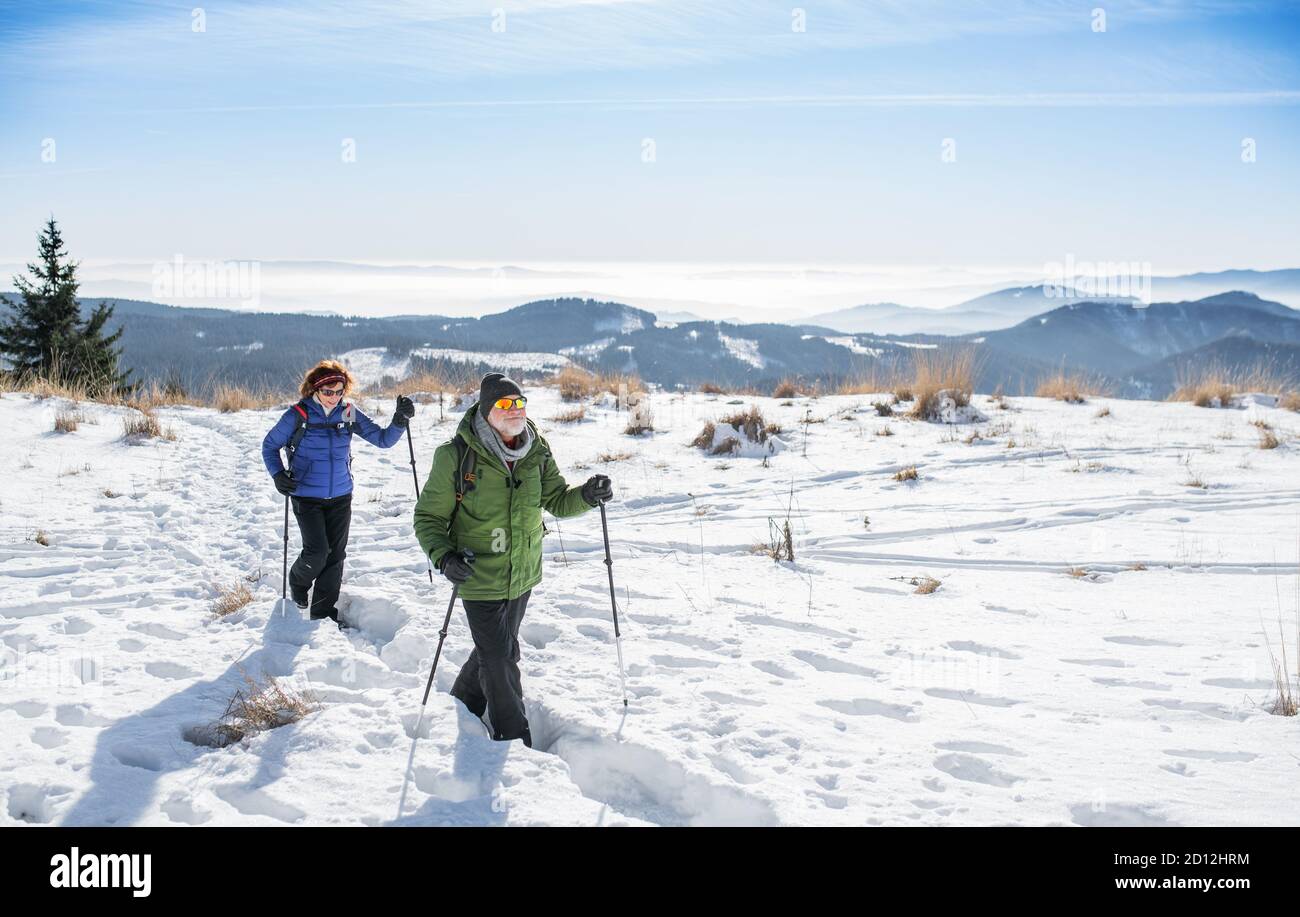 Nordic Poles High Resolution Stock Photography and Images - Alamy