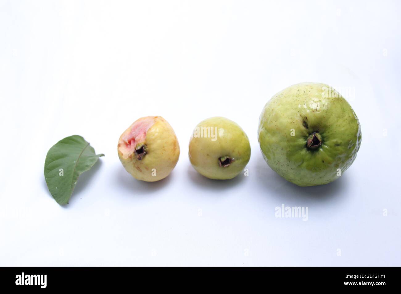 variations of guava fruit and leaves, from small to large guava, ripe ...