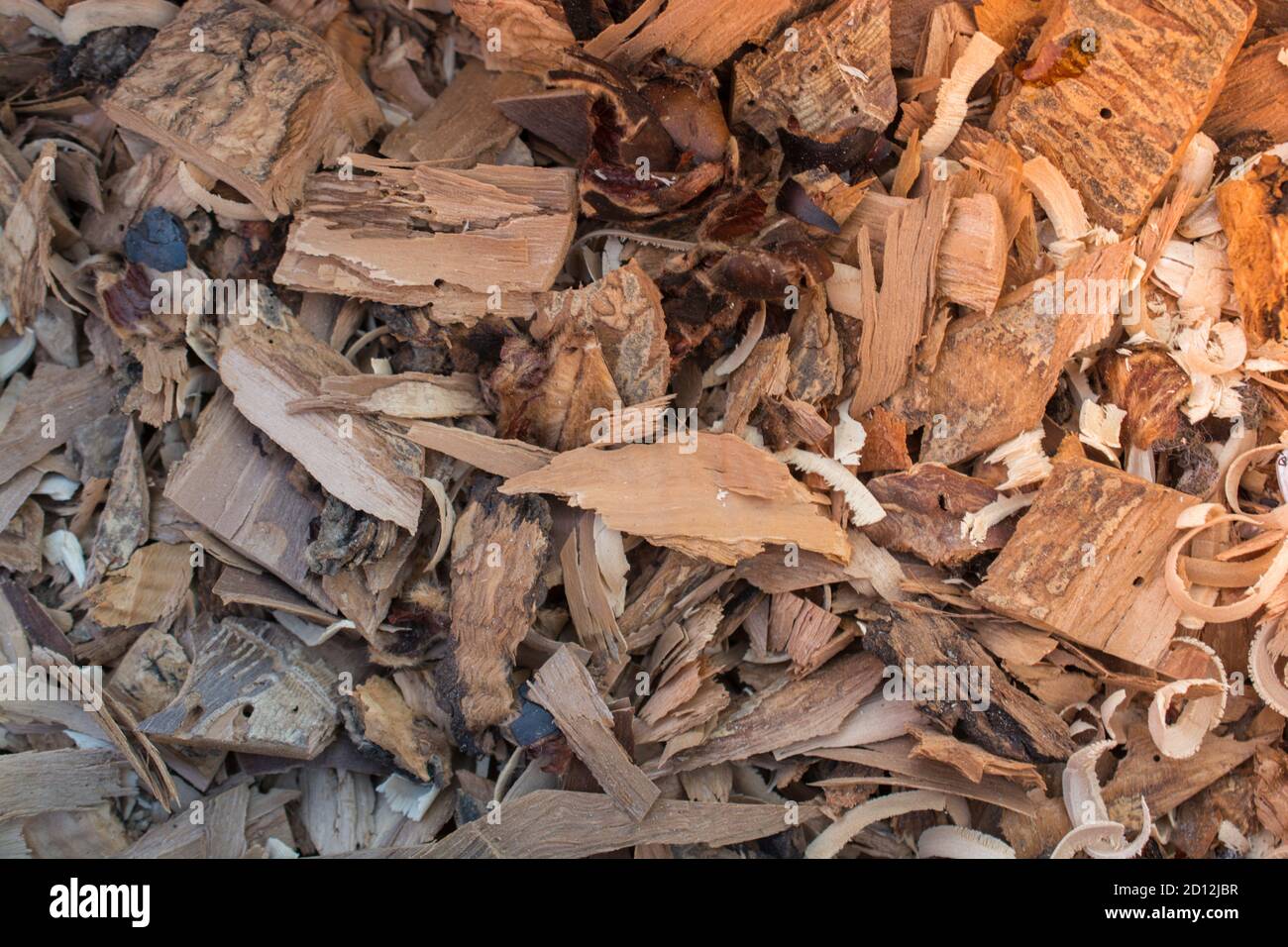 Chip bark isolated hi-res stock photography and images - Alamy
