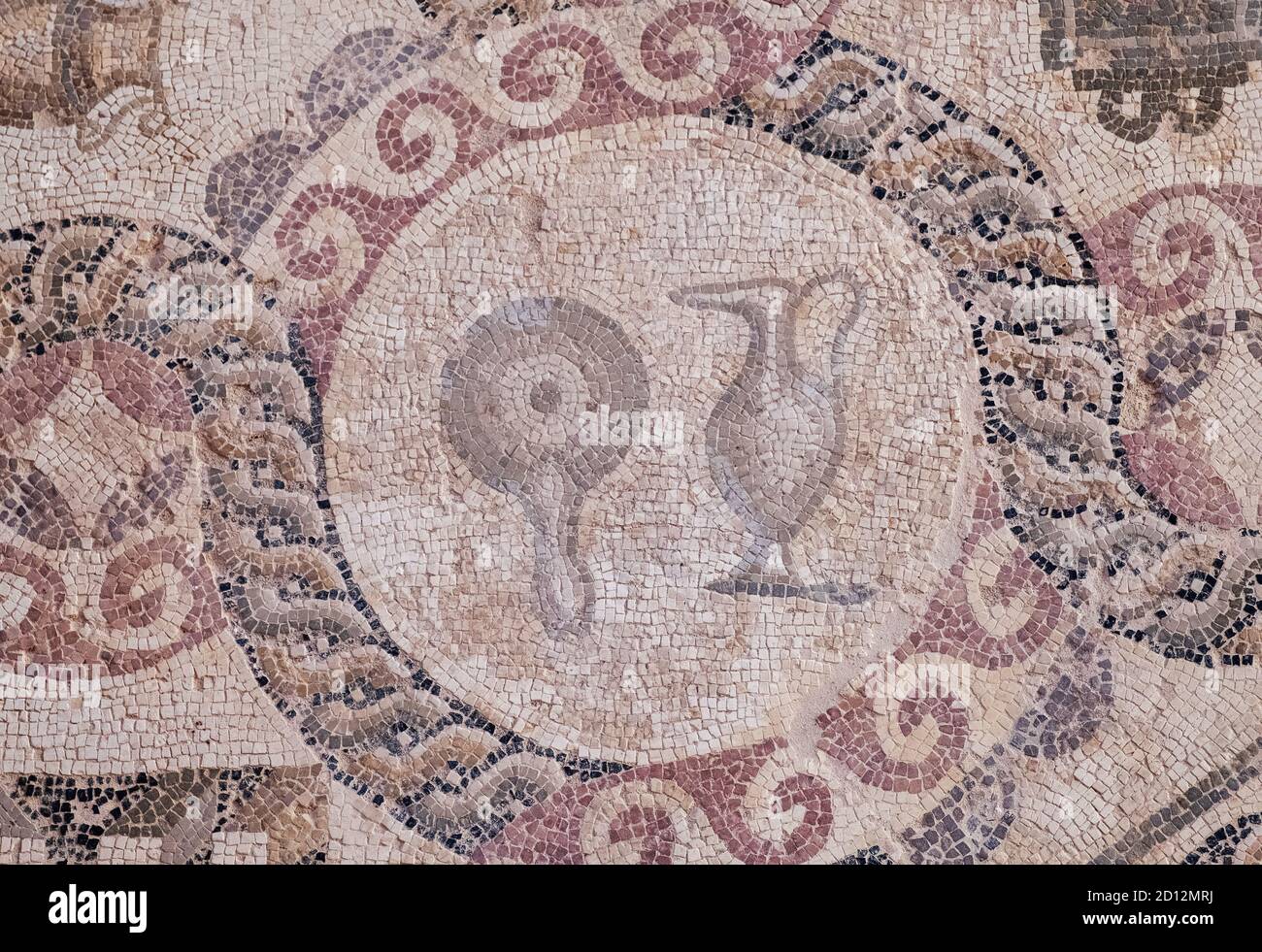 House of Dionysos, Kato Paphos, Cyprus: Room 7 Geometric Mosaic, Mosaic ...