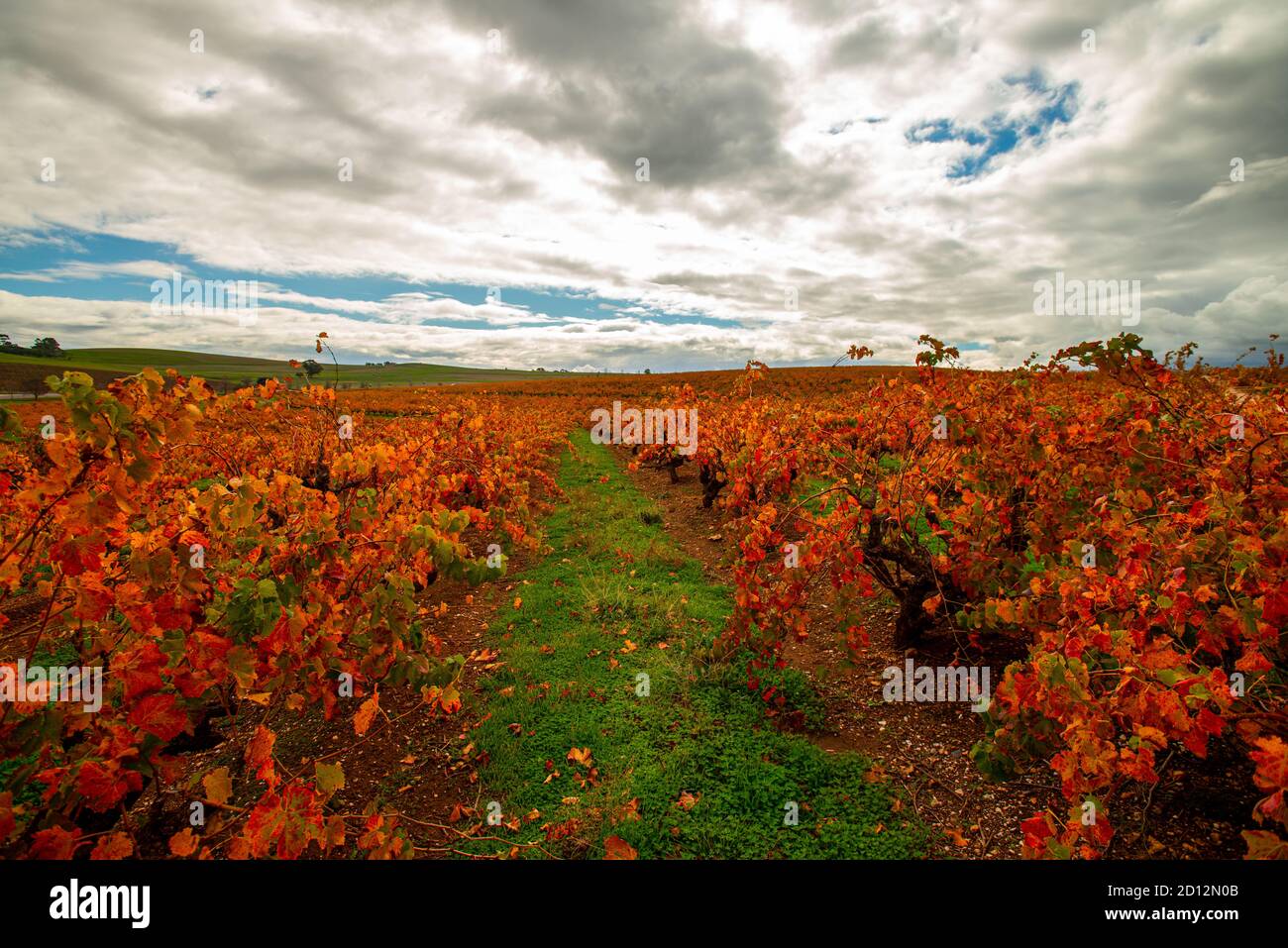 Autumn adelaide hills hi-res stock photography and images - Alamy
