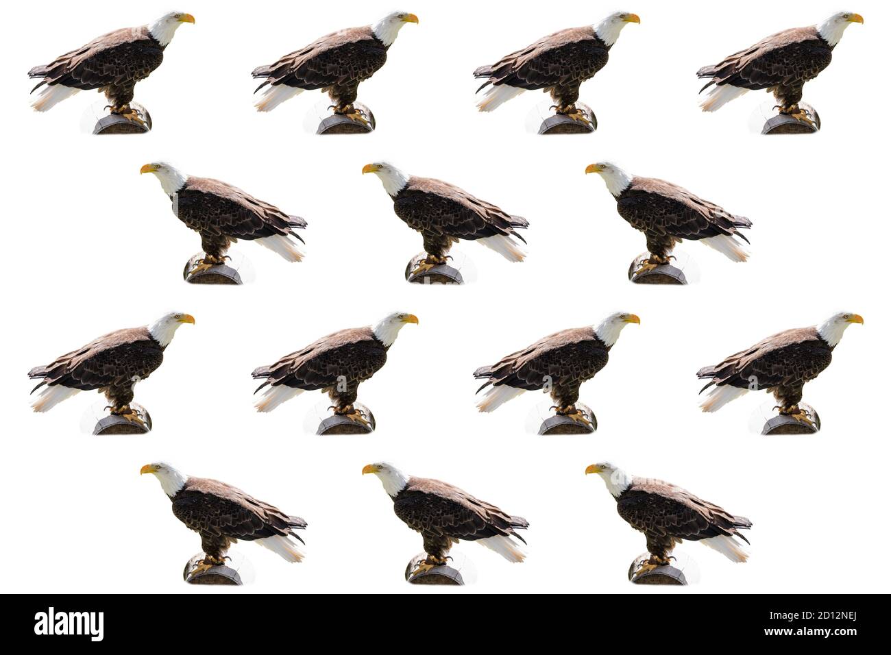 Bald eagle with the american flag Cut Out Stock Images & Pictures - Alamy