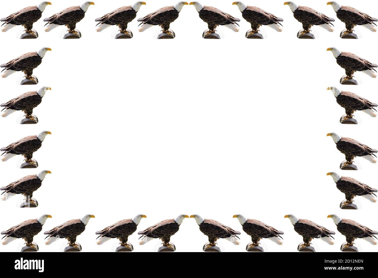 Bald eagle with the american flag Cut Out Stock Images & Pictures - Alamy