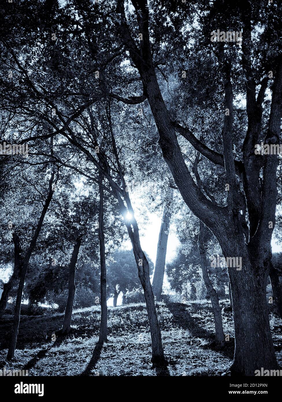 Beautiful scenery sunshine backlight hi-res stock photography and ...