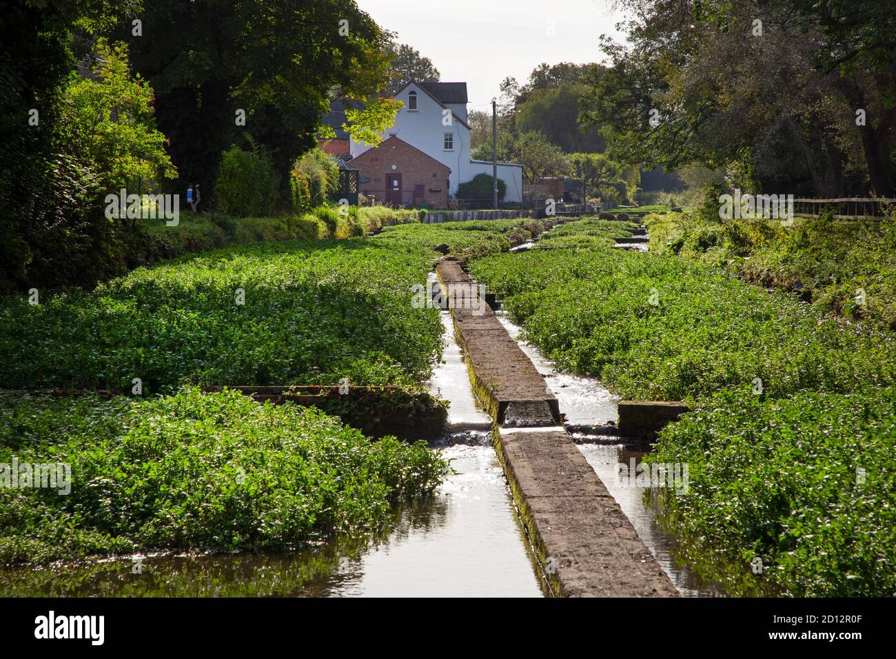 Ewelme High Resolution Stock Photography and Images - Alamy
