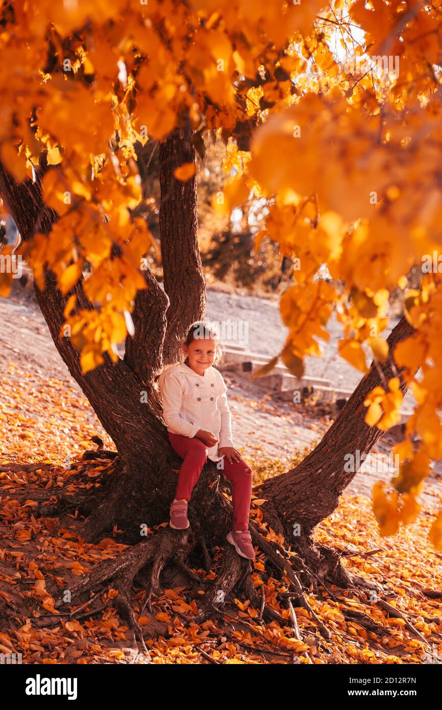 Cute girl sitting on the root of an autumn tree at sunset, yellow ...