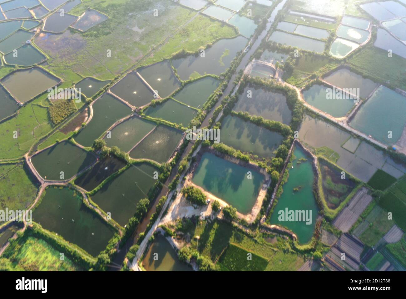 Shrimp ponds aerial hi-res stock photography and images - Alamy