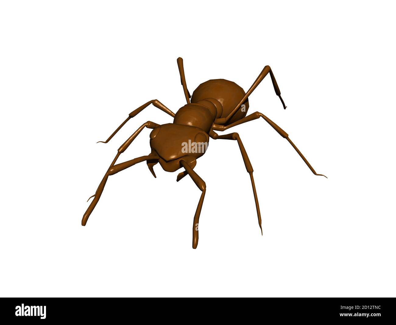 brown forest ant crawls around Stock Photo - Alamy