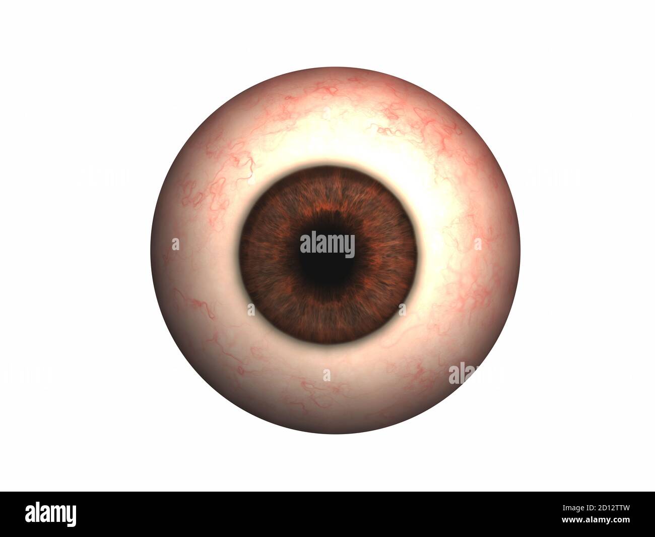 Round vessels Cut Out Stock Images & Pictures - Alamy