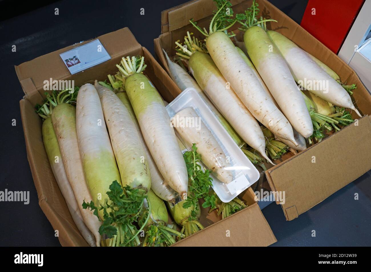 Paper boxes full of fresh Japanese Radish Stock Photo - Alamy