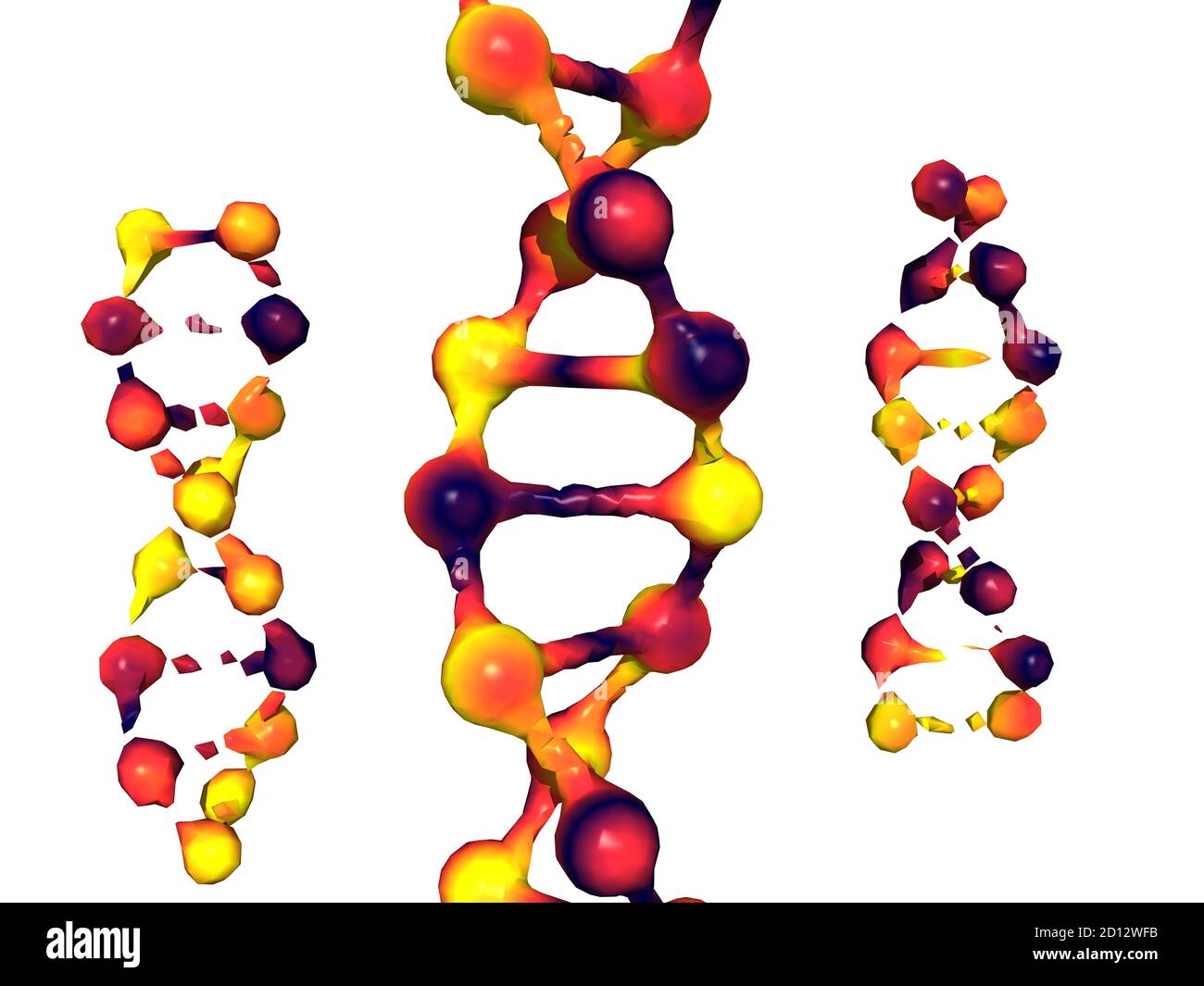 DNA double helix as carrier of the genetic material Stock Photo - Alamy