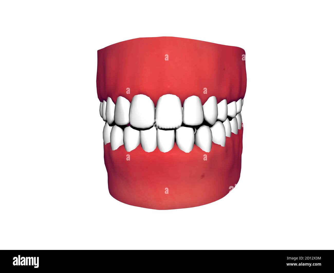 Bit with red gums and flawless white teeth Stock Photo - Alamy