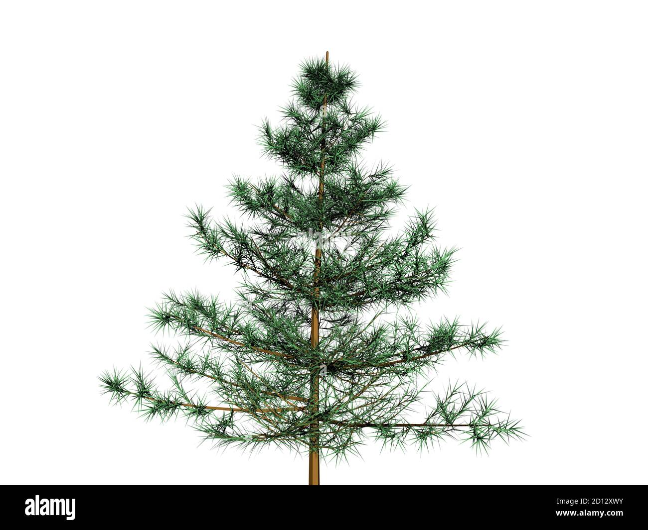 Tree with branches, twigs and foliage Stock Photo - Alamy