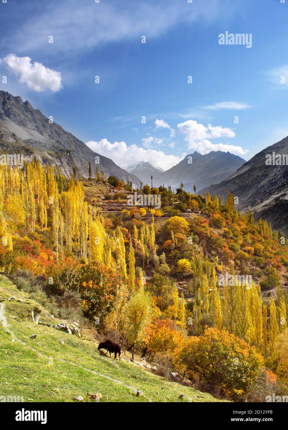 landscape photos of norhtern areas of gilgit baltistan in autumn season ...