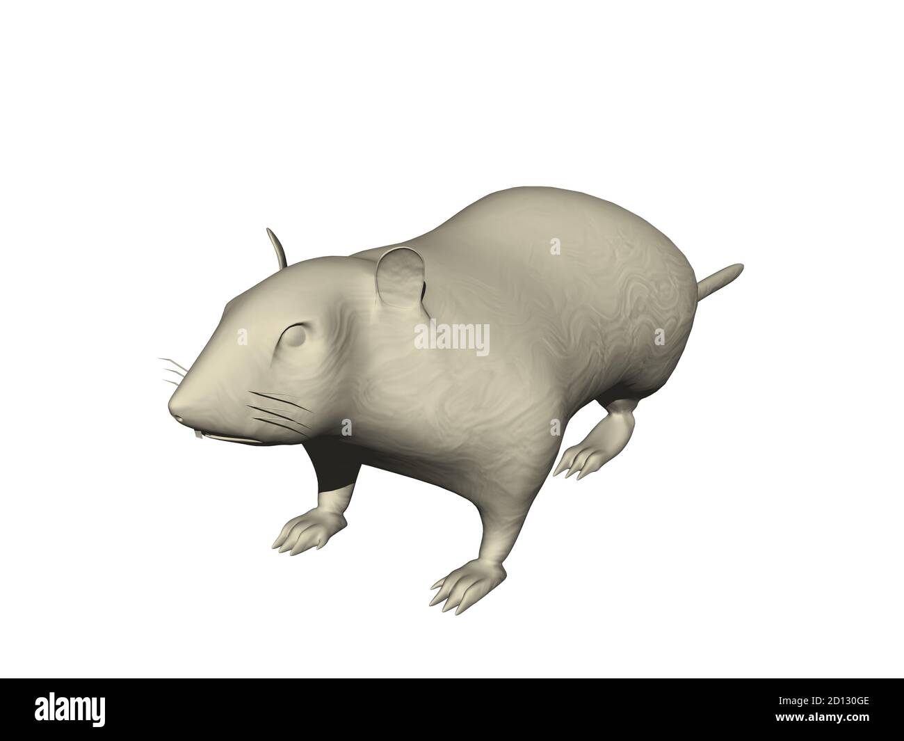 white laboratory rat with a long tail Stock Photo - Alamy