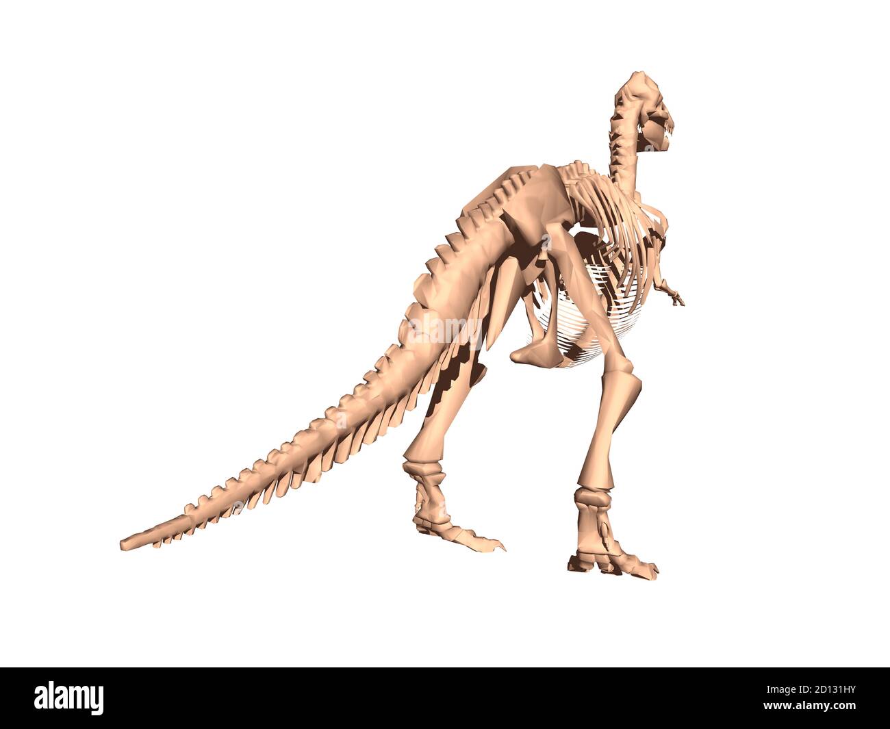 Skeleton of a two-legged dinosaur Stock Photo - Alamy