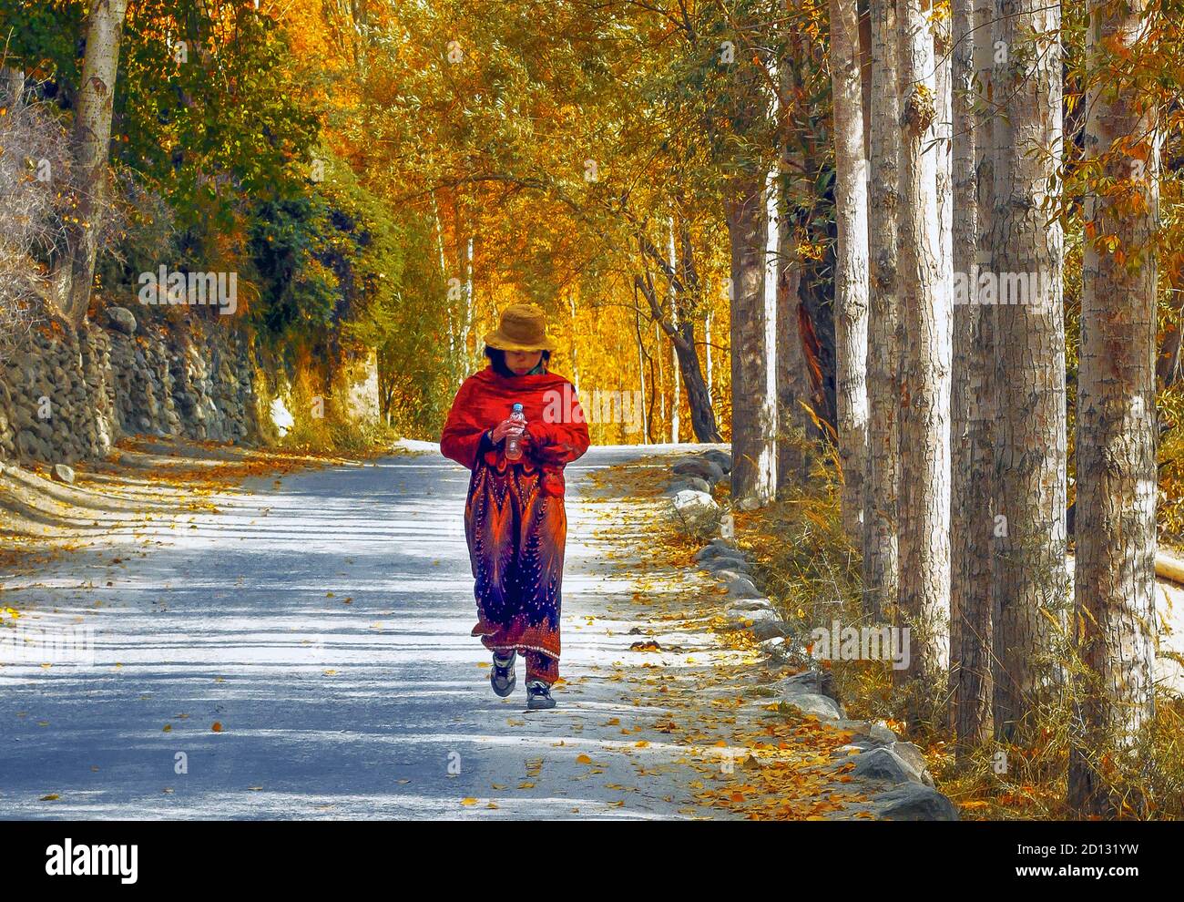 landscape photos of norhtern areas of gilgit baltistan in autumn season ...