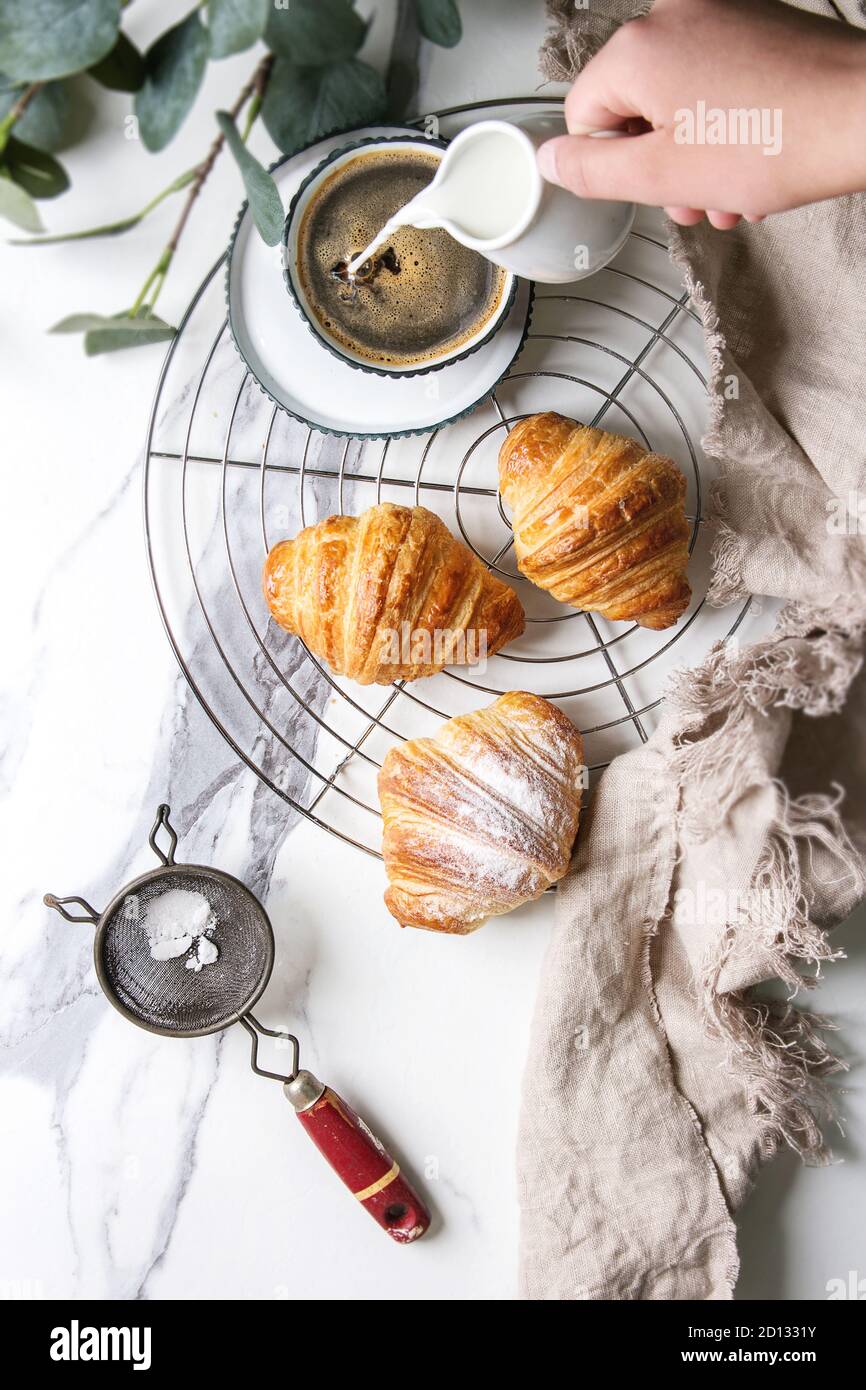 Homemade croissant whole and sliced with sugar powder on cooling rack ...