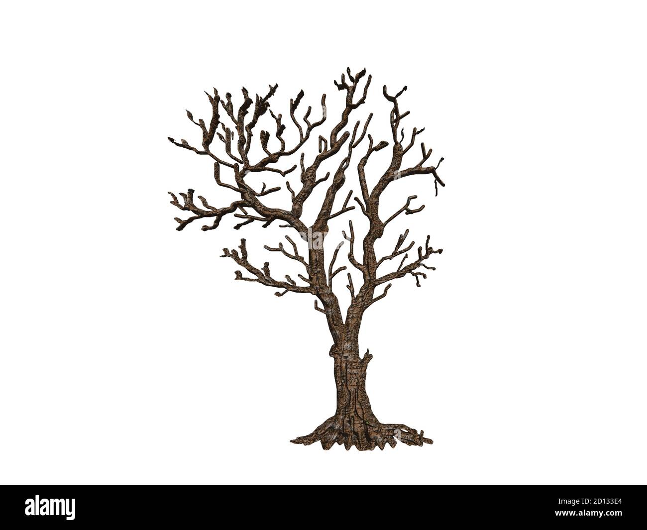 Tree with branches, twigs and foliage Stock Photo - Alamy